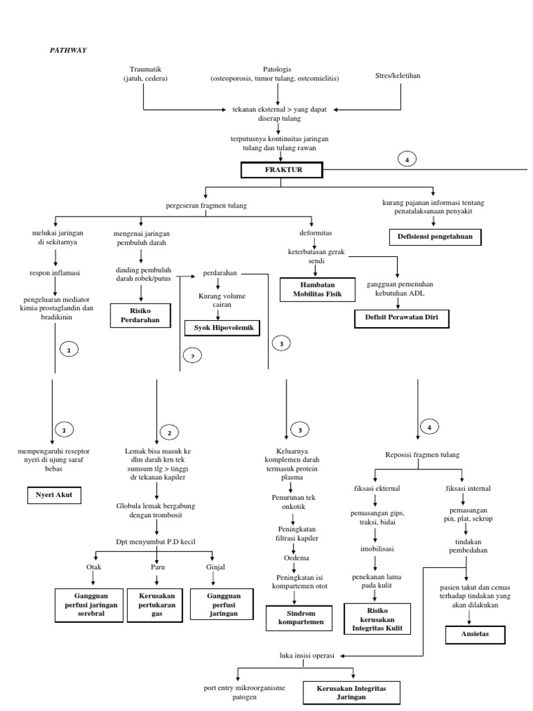 Pathway Penanganan Fraktur Kompleks | PDF