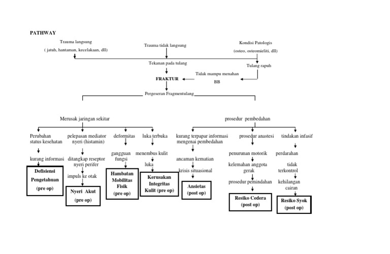 Pathway Fraktur | PDF