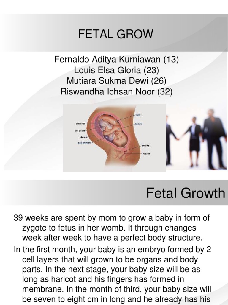 Fetal Grow | PDF