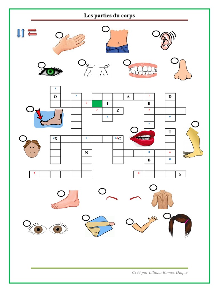 Parties du corps pour maternelle | PDF