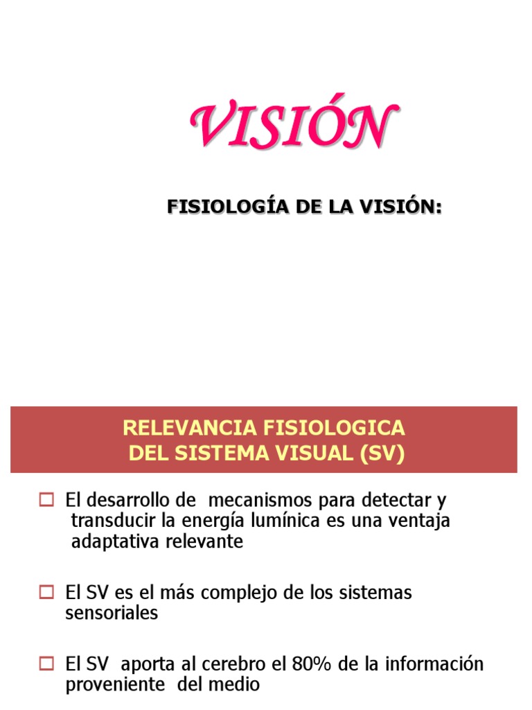 Fisiologia de La Vision | PDF | Ojo humano | Percepción visual