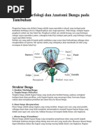 Morfologi Dan Anatomi Bunga Sepatu | PDF