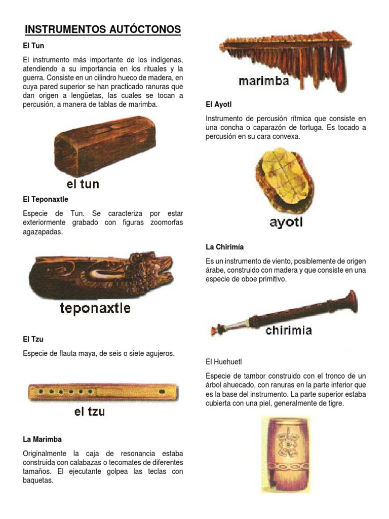 Instrumentos Autóctonos y Modernos | PDF | Instrumentos musicales | Kit ...