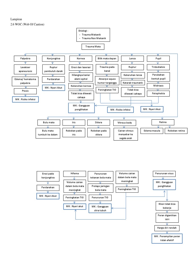Woc Trauma Mata Fix | PDF