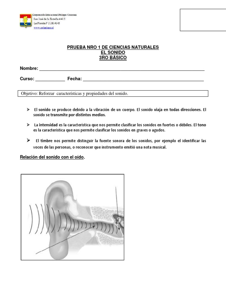 Guía El Sonido 3ro Basico | PDF | Olas | Sonido