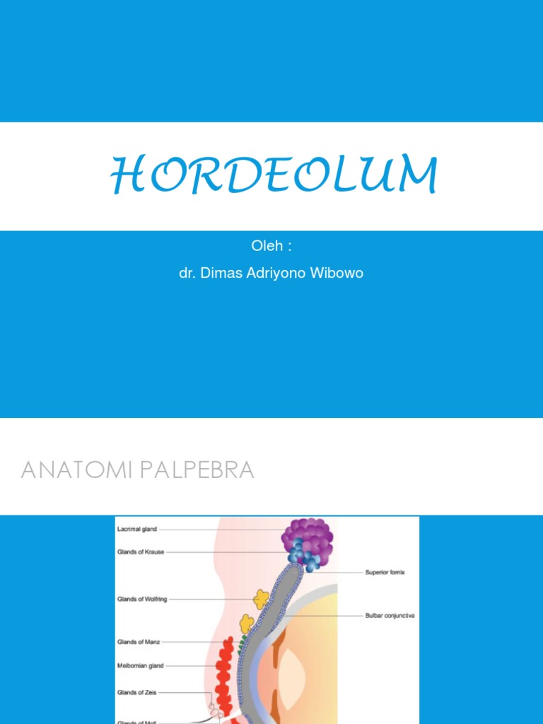 Hordeolum | PDF