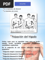 Maniobras de Palpacion de Higado, Vesicula Biliar y Estomago | PDF ...