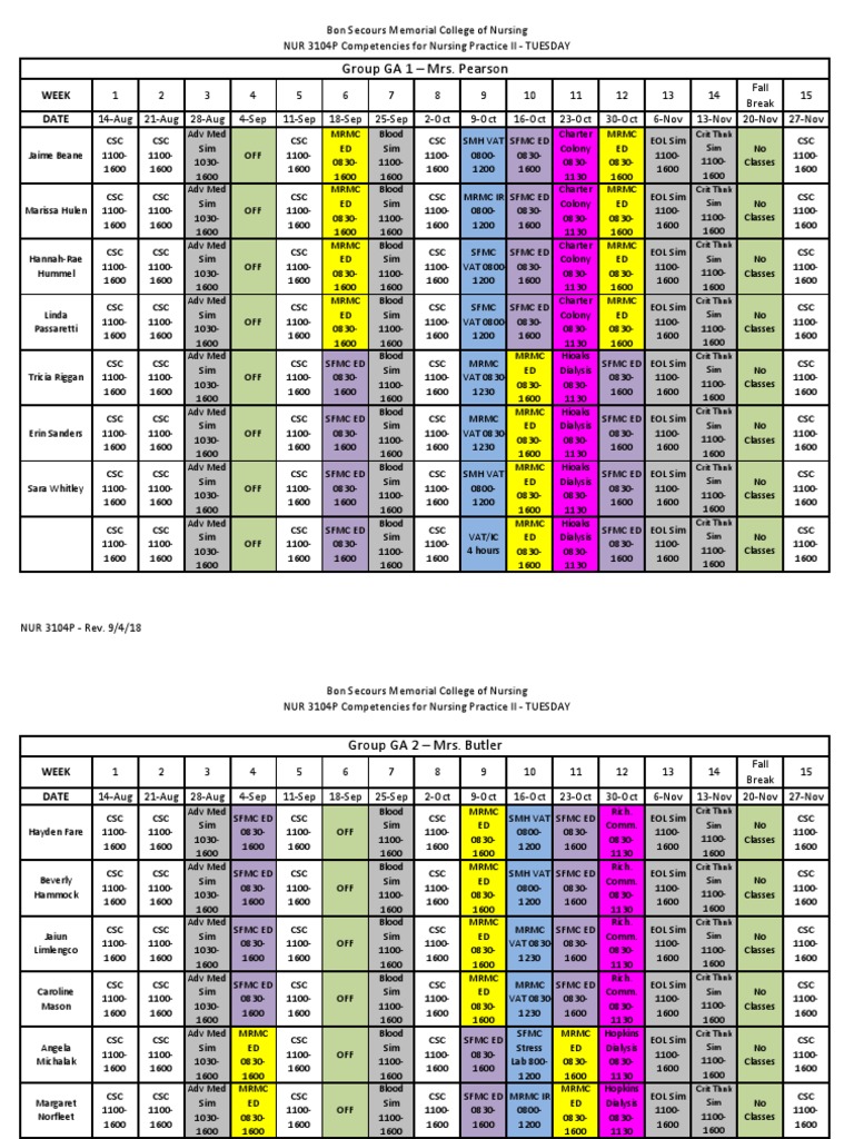 Nursing Practice II Schedule and Competencies | PDF | Labor ...