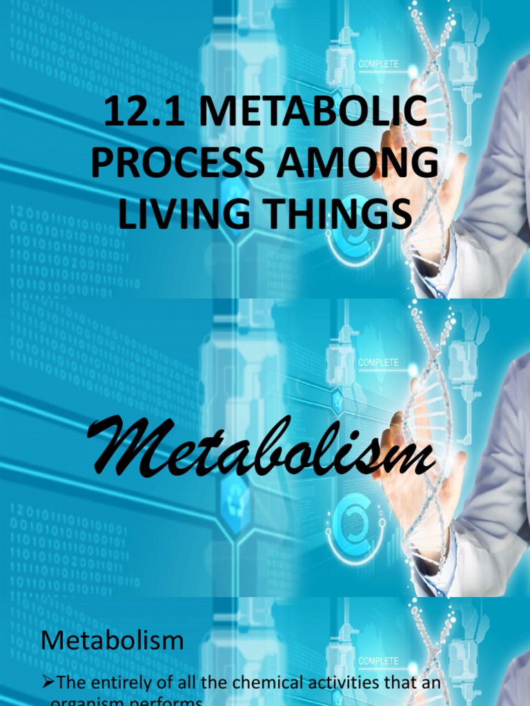 Metabolic Processes in Living Organisms | PDF | Metabolism | Lymphatic ...