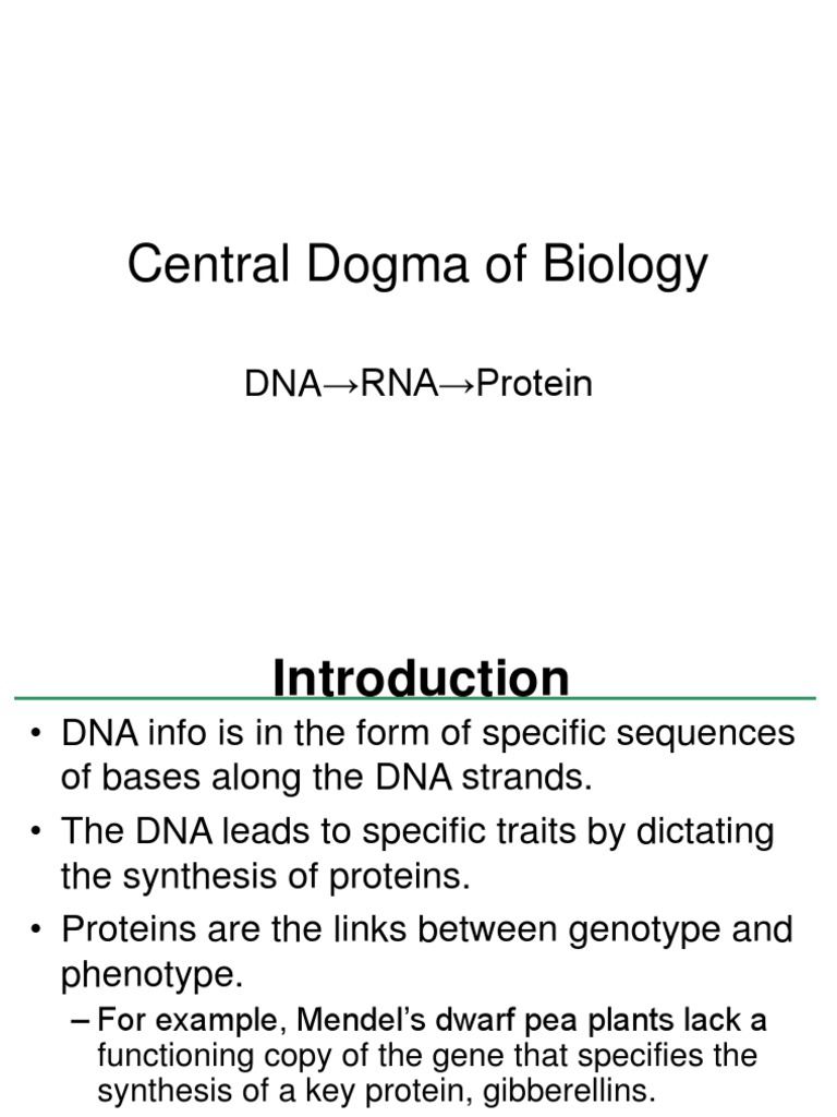 Central Dogma of Biology: DNA RNA Protein | PDF | Translation (Biology ...
