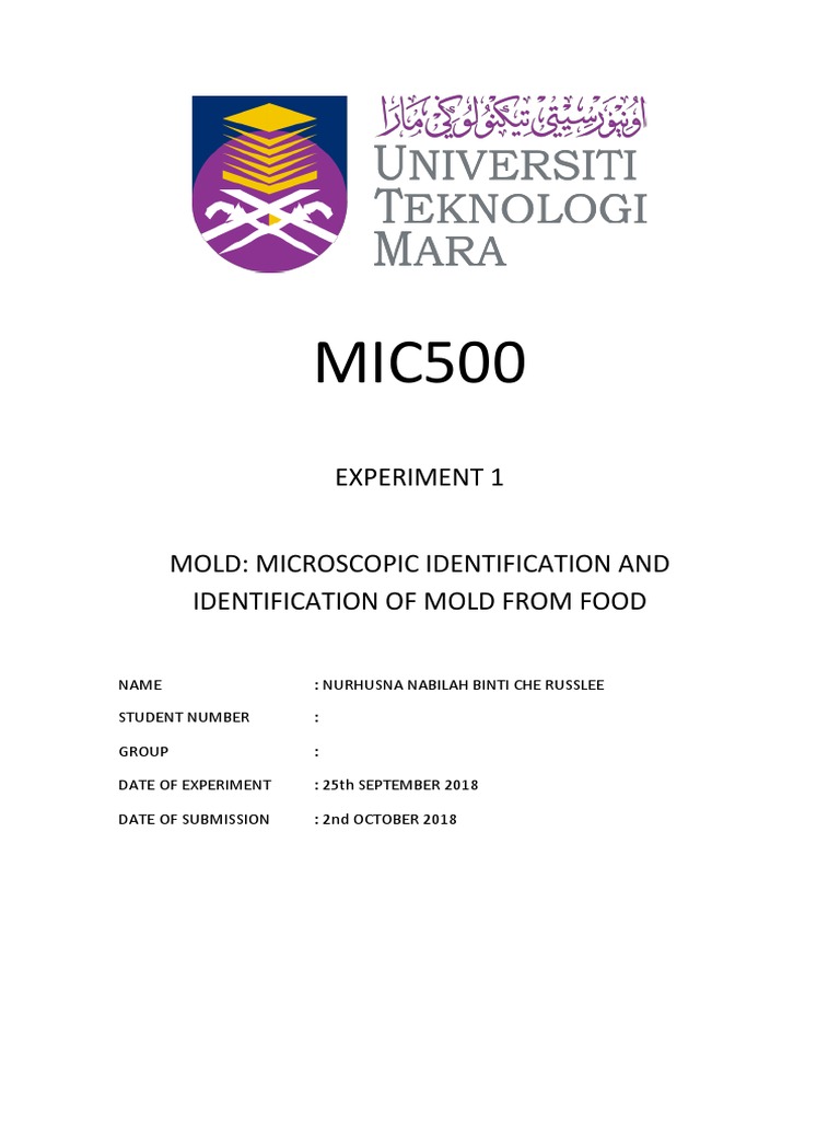 Exp 1 Mold: Microscopic Identification and Identification of Mold From ...