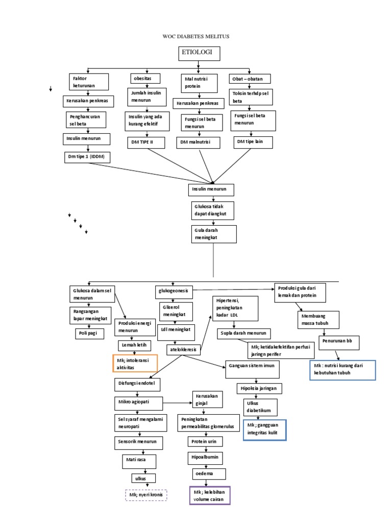 Woc Diabetes Melitus | PDF