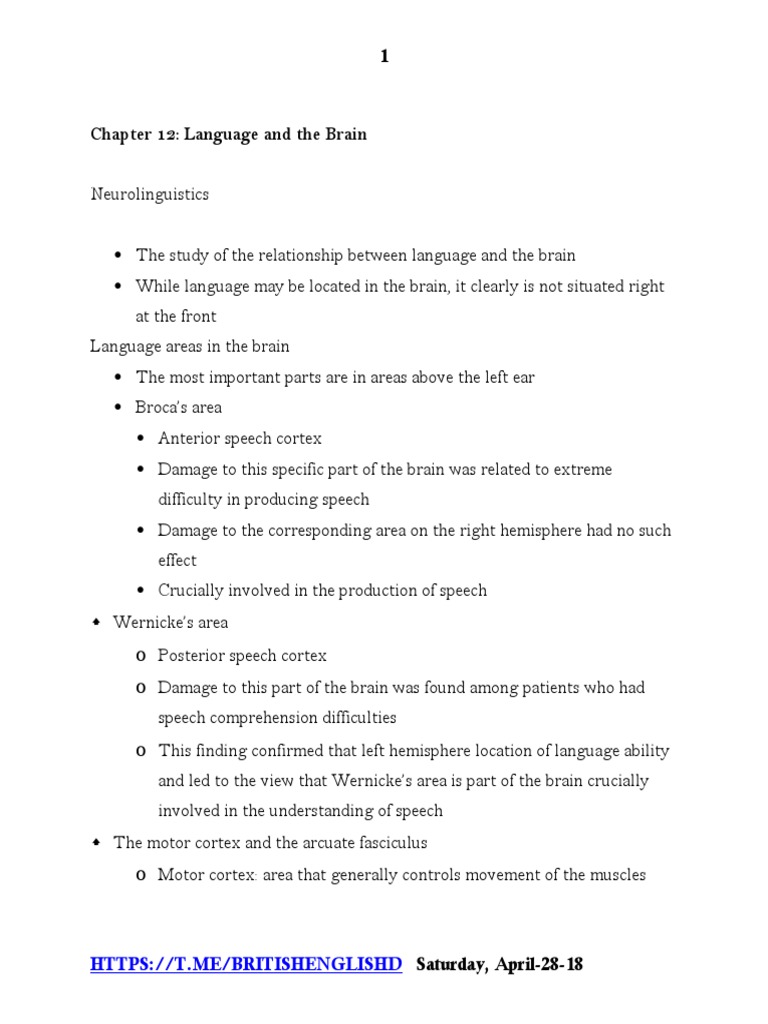 Chapter 12 Language and The Brain PDF | PDF | Speech | Aphasia