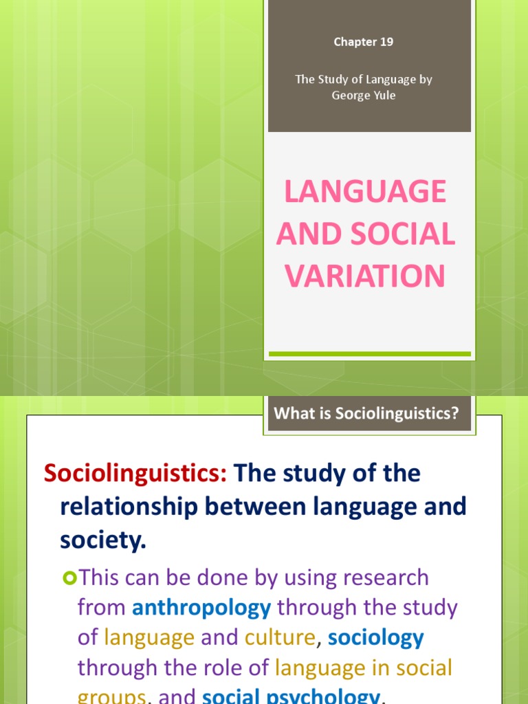 Chapter 19 - Language and Social Variation | Sociolinguistics | Dialect