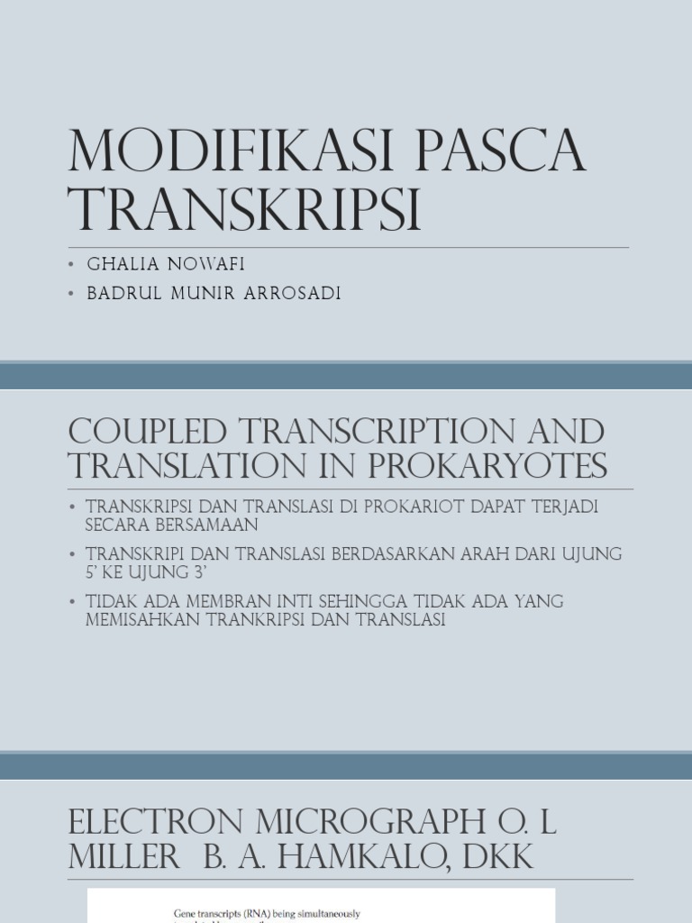 Modifikasi Pasca Transkripsi | PDF | Sains & Matematika | Komputer