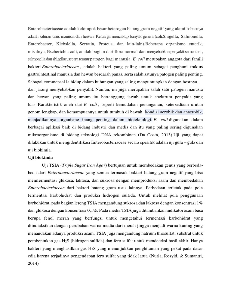 Uji MR VP Menggunakan Media MRVP Kegunaan | PDF | Kajian Bahasa Asing