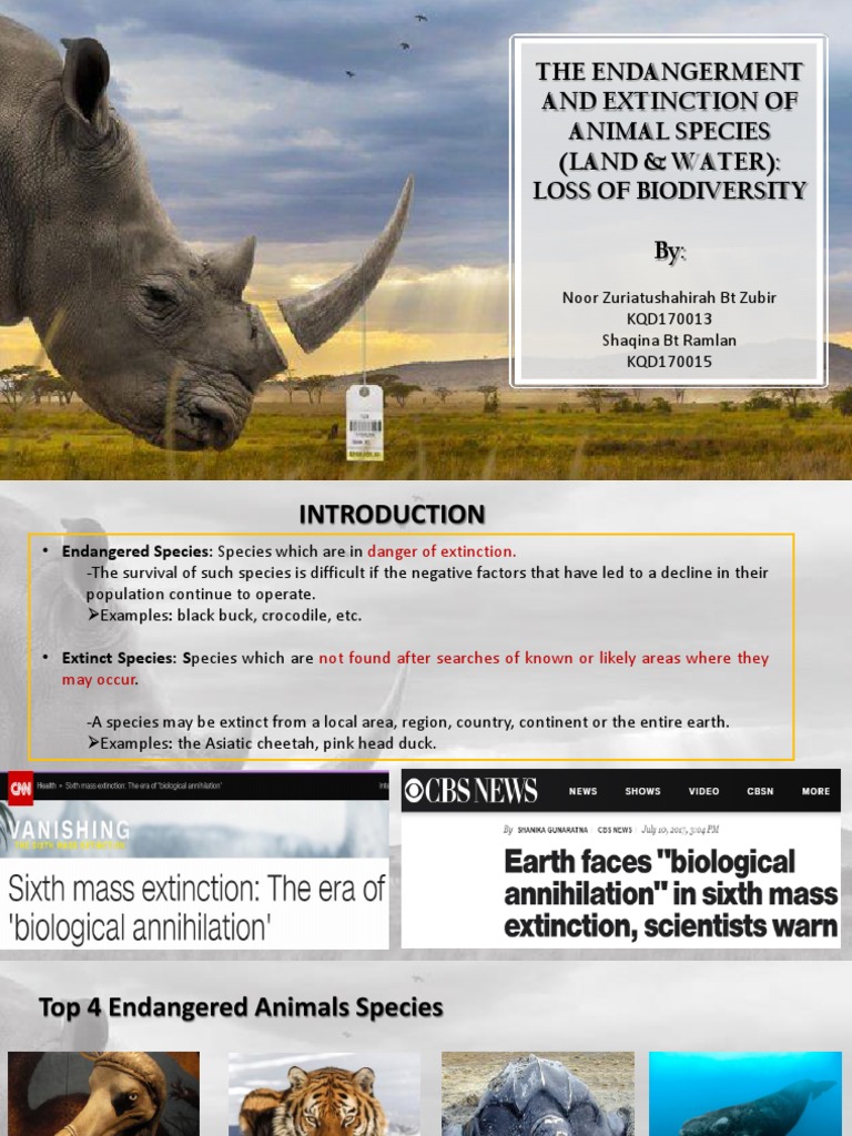 The Endangerment and Extinction of Animal Species (Land & Water) | PDF ...