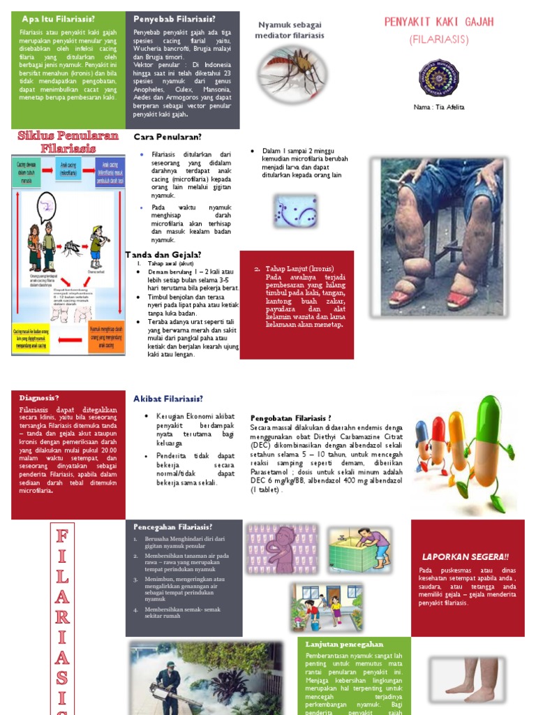 Leaflet Filariasis | PDF