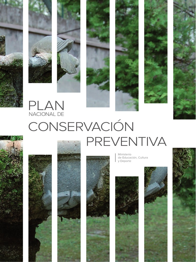 Plan Nacional de Conservacion Preventiva | PDF | Presupuesto | Bienes (Ley)