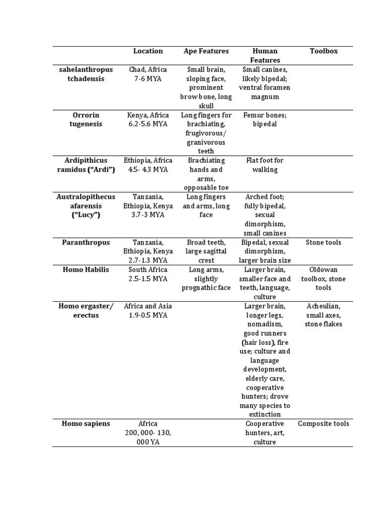 Human Evolution Table | PDF | Hominini | Homo