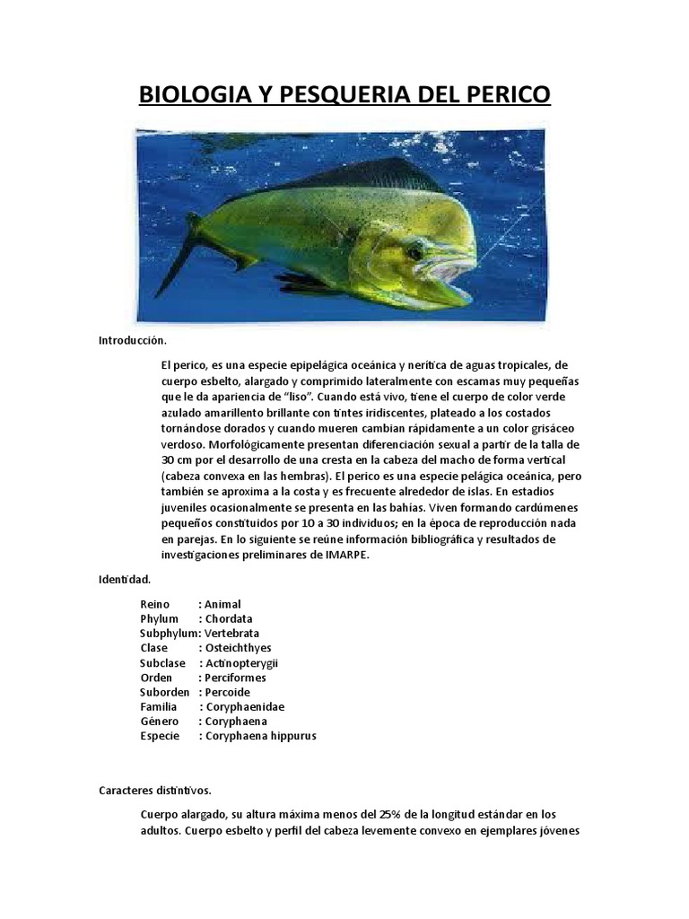 Biologia y Pesqueria Del Perico | PDF | Pescado | Vertebrados Acuáticos