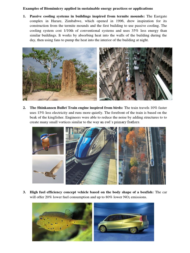 Biomimicry Examples | PDF