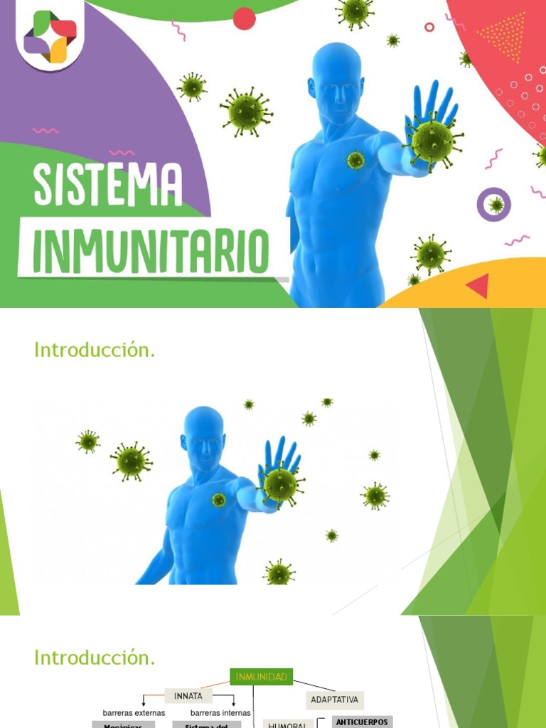 Sistema Inmunitario | PDF | Sistema inmune | Linfocitos