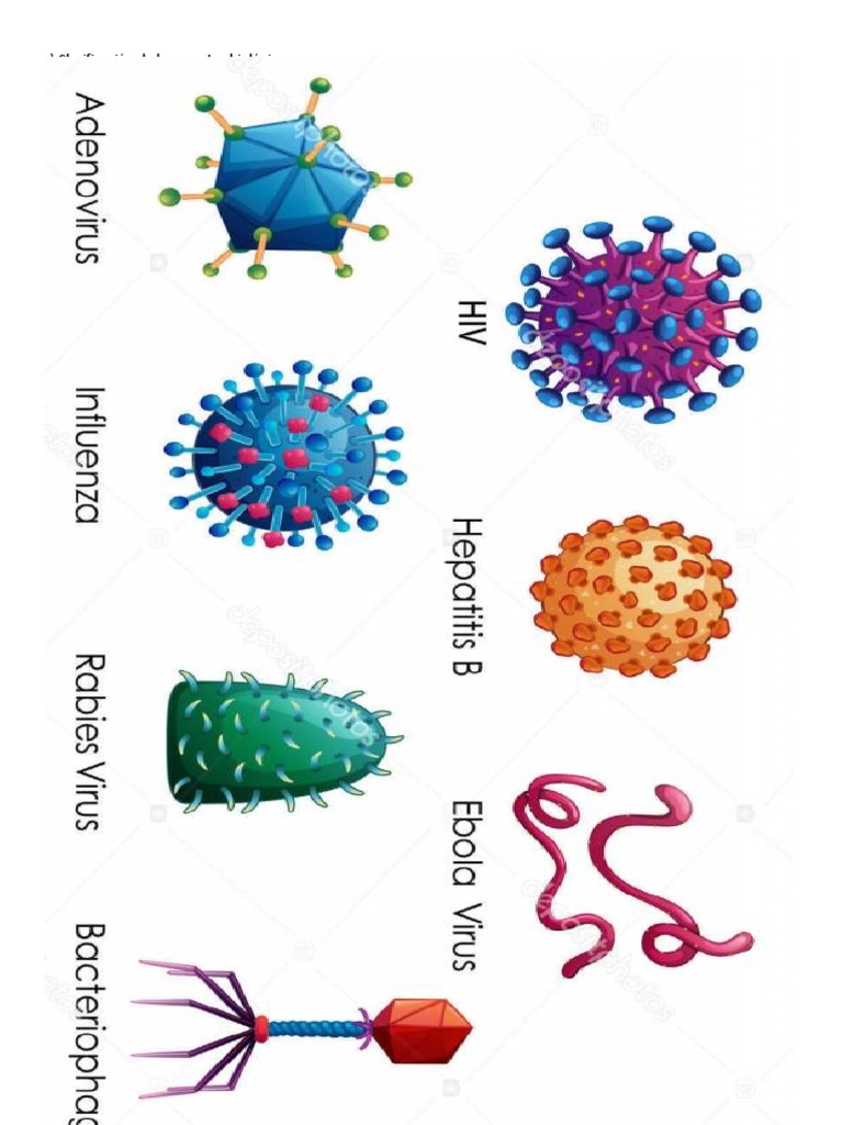 Clasificación de Los Agentes Biológicos | PDF