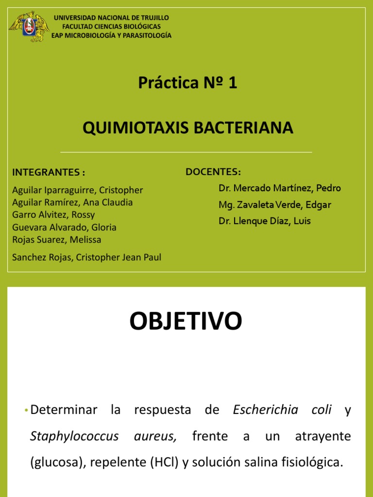 Practica 1 - Quimiotaxis Bacteriana - PPTX (Reparado) | PDF ...