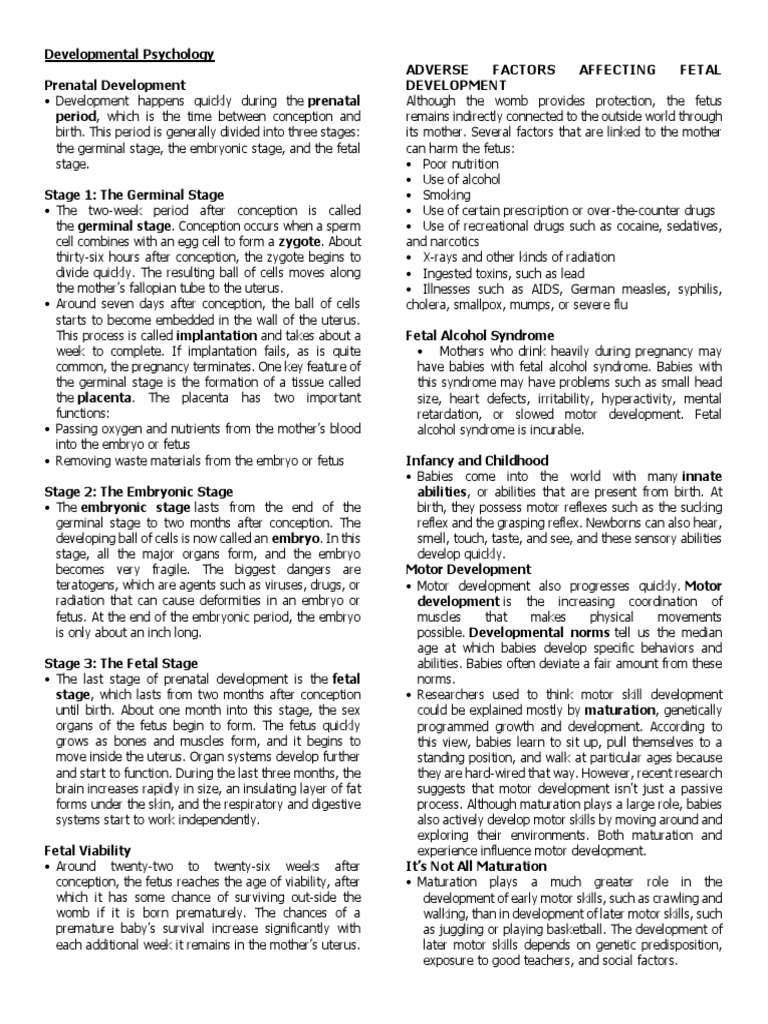 Developmental Psychology | PDF | Attachment Theory | Prenatal Development