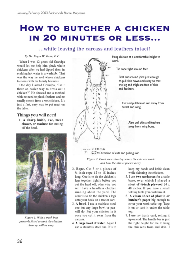 Butchering How To Butcher A Chicken in 20 Minutes or Less PDF | PDF ...