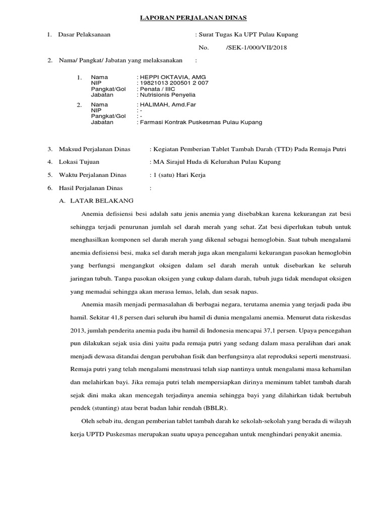 Laporan Pemberian TTD | PDF