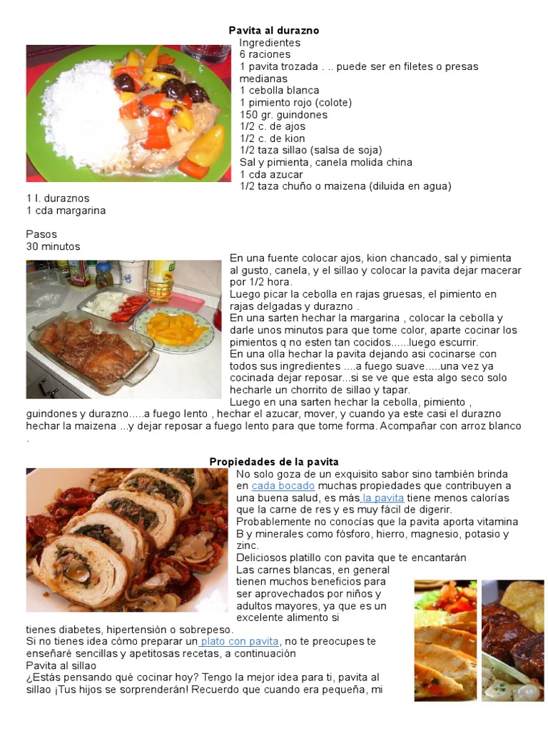 Recetas de Pavita | Descargar gratis PDF | Cilantro | Salsa de soja