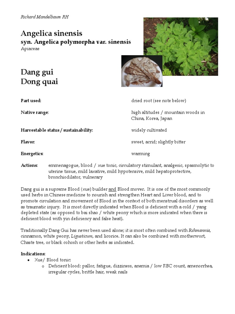 Angelica Sinensis Materia Medica Herbs | PDF | Herbalism | Traditional ...