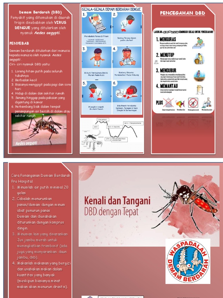 Leaflet DBD A4 | PDF