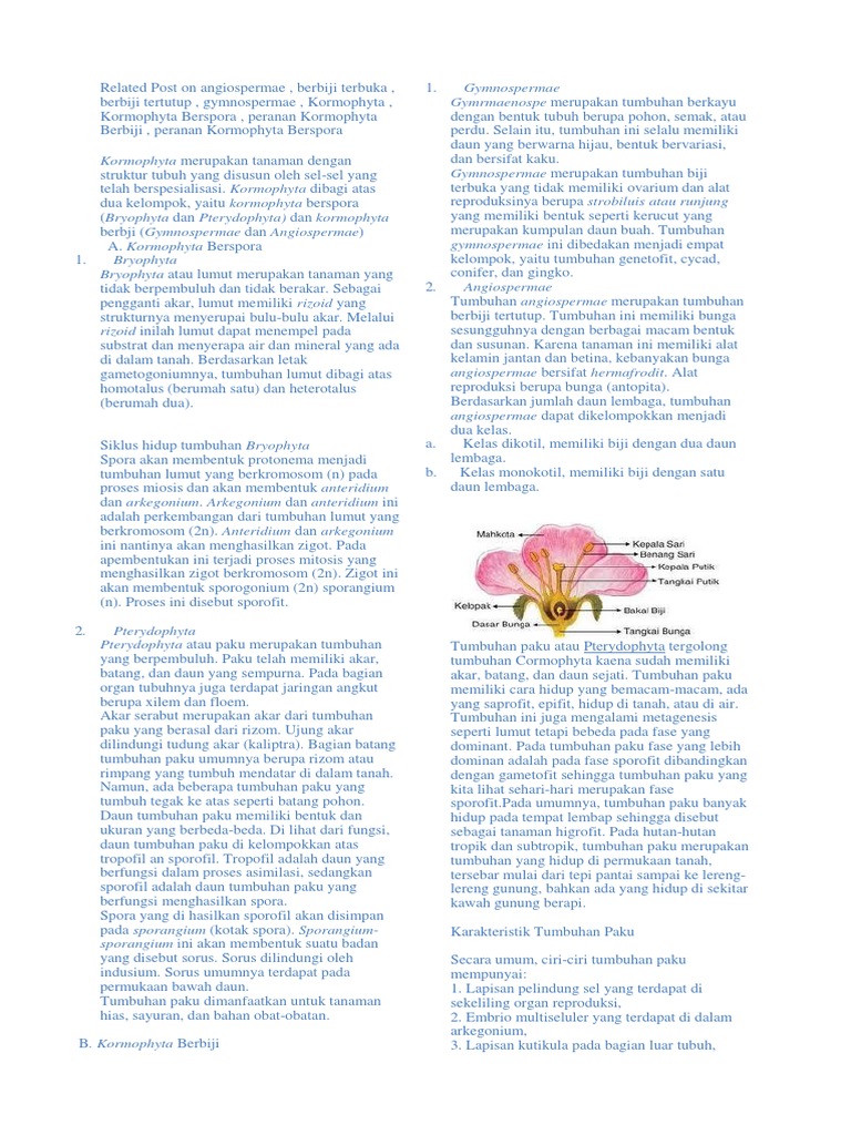 Divisi Thallophyta | PDF