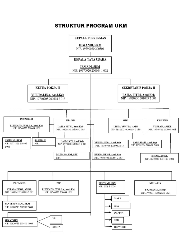 Struktur Program Ukm: Kepala Puskesmas Ihwandi, SKM | PDF