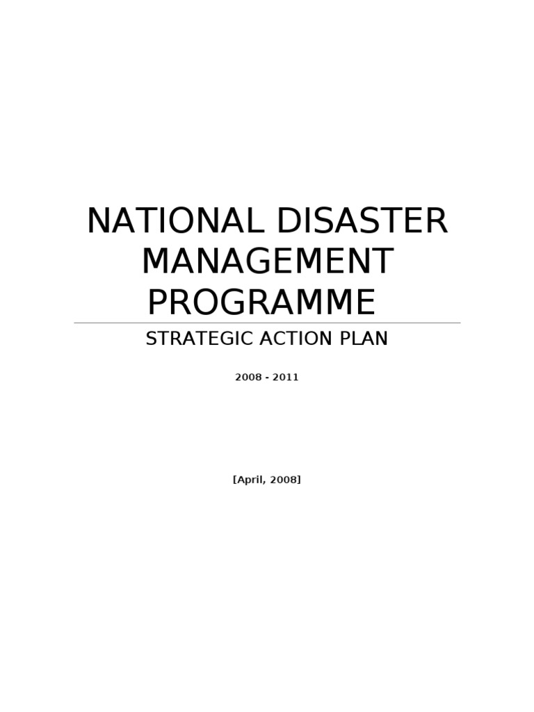 Diaster Management Strategic Action Plan | PDF | Disaster Risk ...