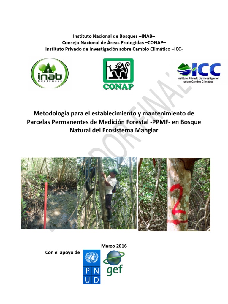 Dinámica de Bosques en Diferentes Escenarios de Tala Selectiva | PDF ...