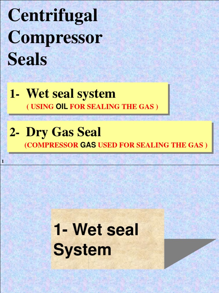 5-DRY Dry Seal2 | PDF | Pump | Gases