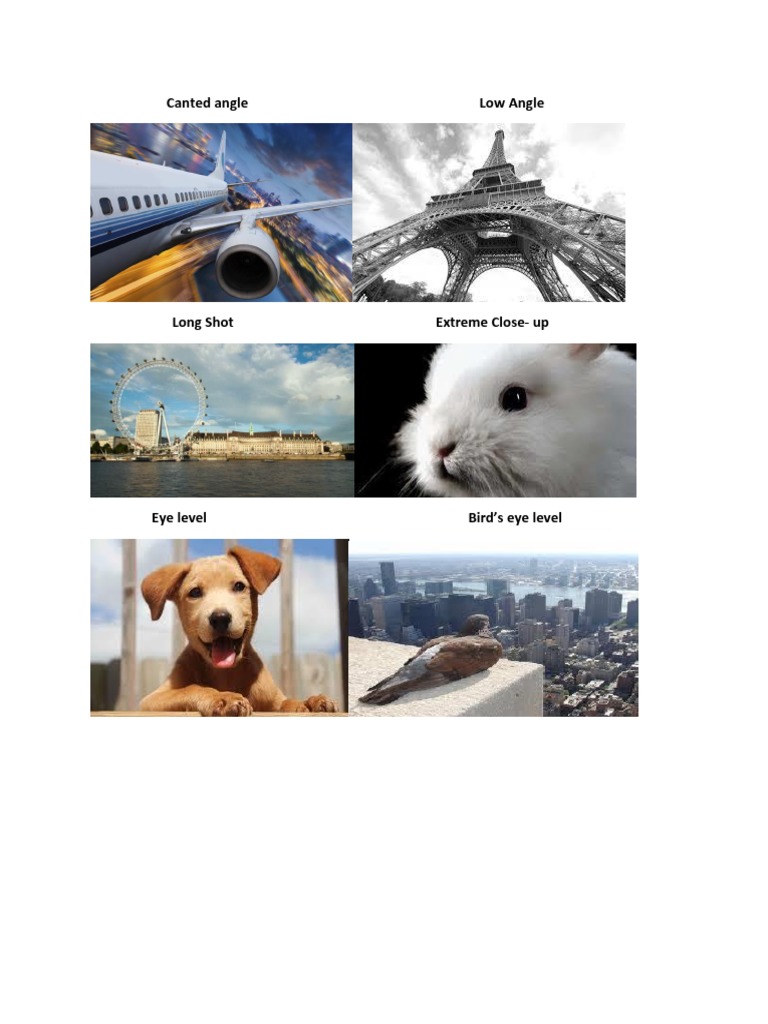 Camera Angles and Shot Types Guide | PDF