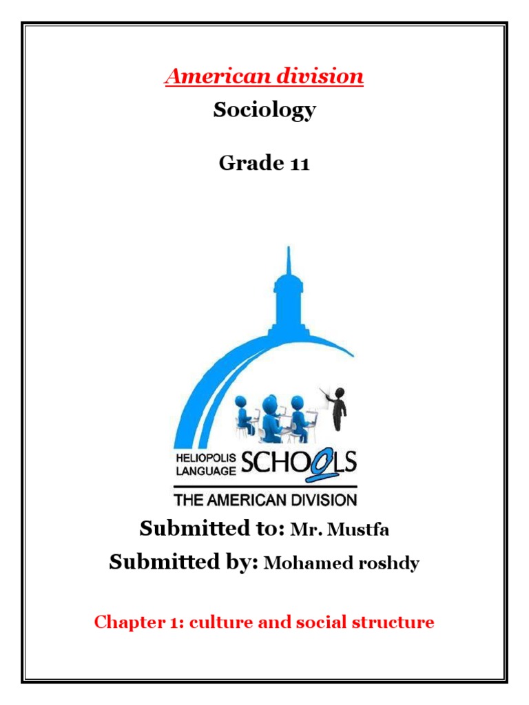 Sociology Grade 11: American Division | PDF