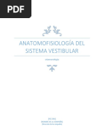 Maniobras de Reposición Canalicular para VPPB | PDF | Vértigo ...