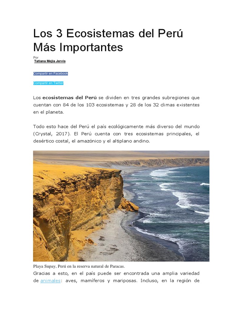 Los 3 Ecosistemas Del Perú Más Importantes | PDF | Selva | Perú