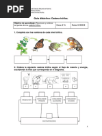 Cadena Alimenticia - Productores, Consumidores y Descomponedores PDF ...