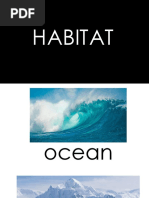 E-Invoice Classification Codes | PDF | Insurance | Taxes