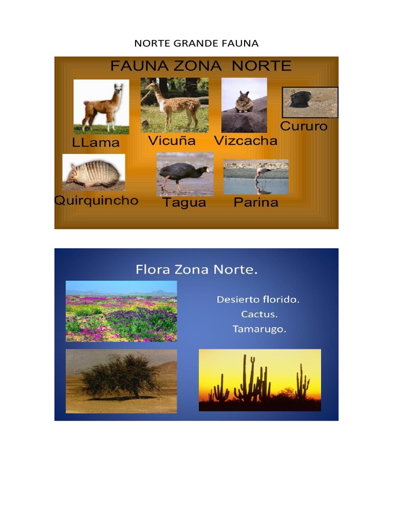Flora y Fauna del Norte Grande | PDF