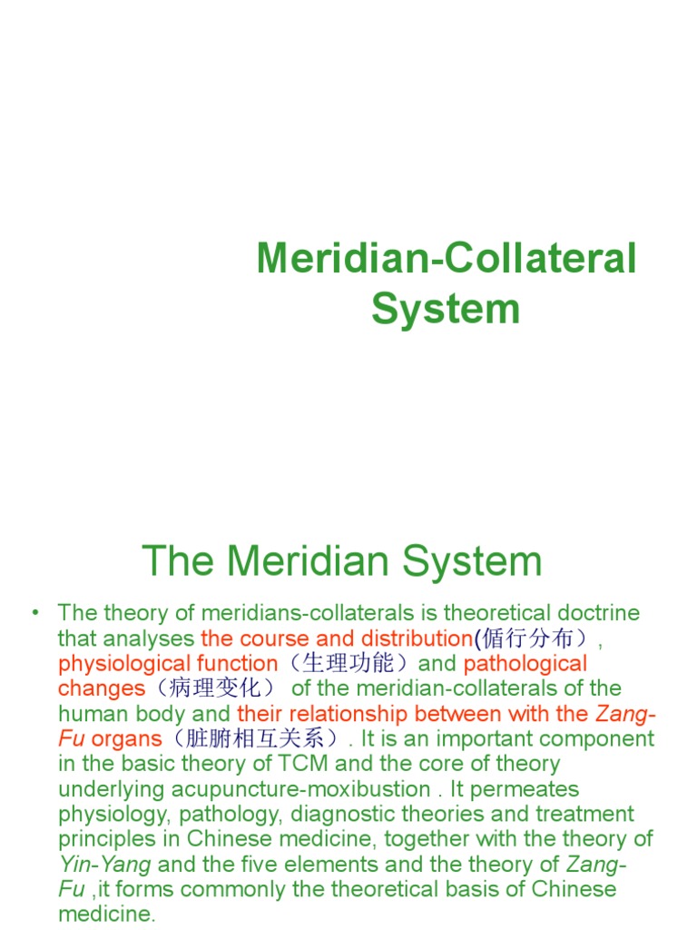Meridian System | PDF | Meridian (Chinese Medicine) | Traditional ...
