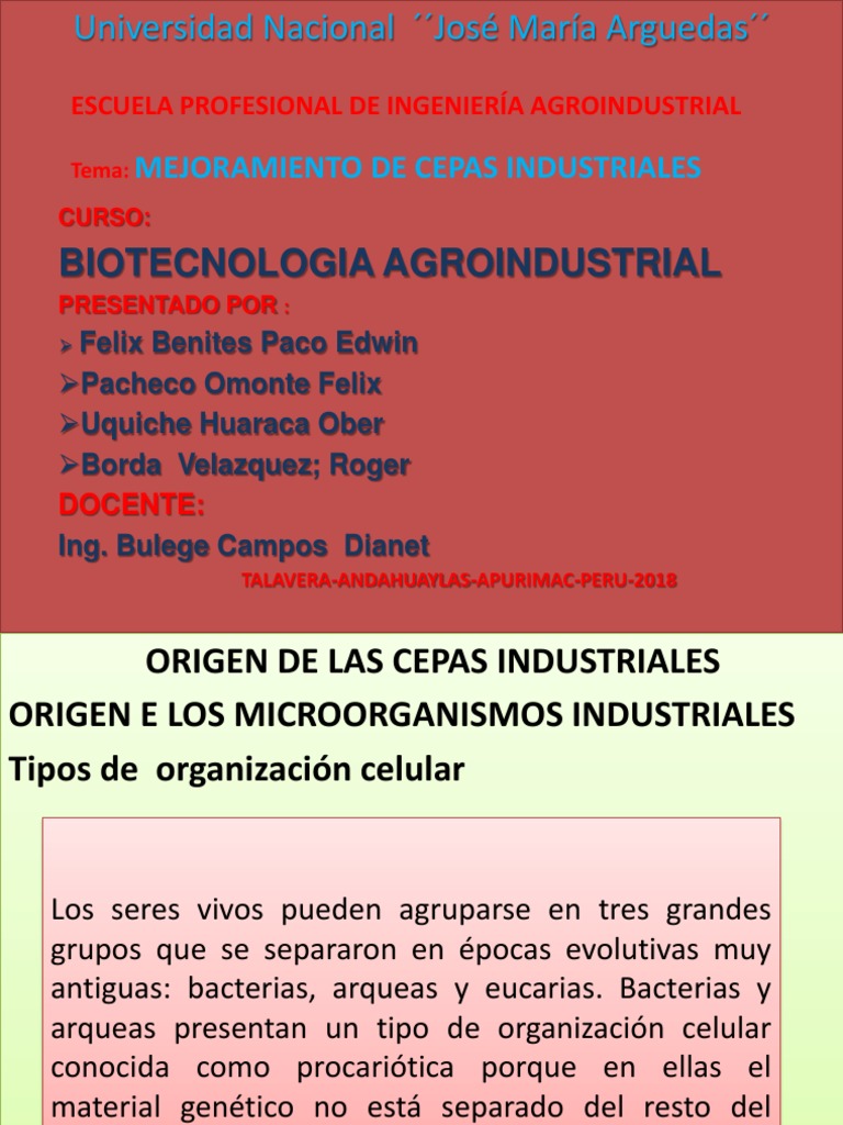 Mejoramiento de Cepas Industriales | PDF | Gene | Mutación