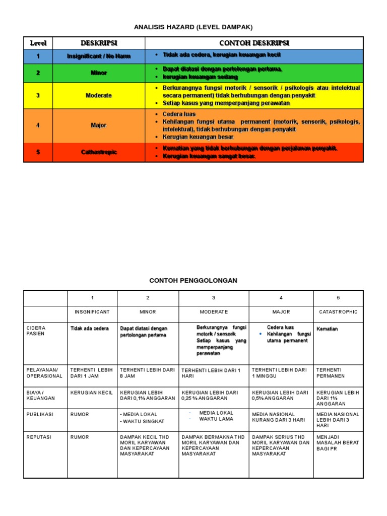 Form Risk Register | PDF